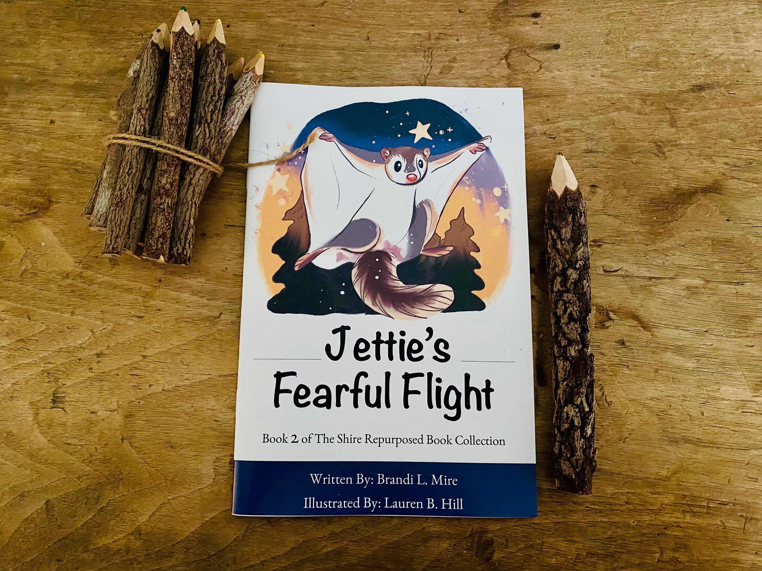 Jettie's Fearful Flight - Signed Children's Picture Book - Etsy