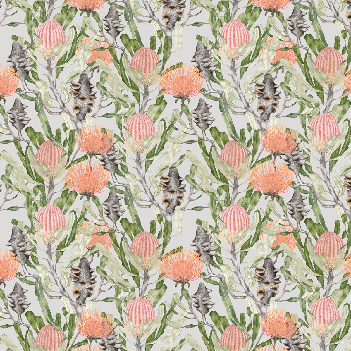 Australian Native Flora, Banksia, Grevillea Wallpaper • Botanical ...