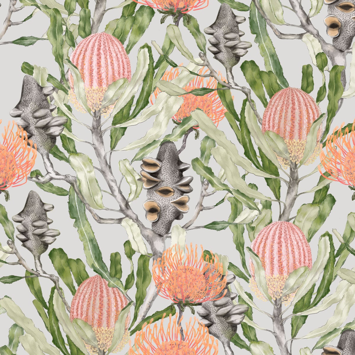 Australian Native Flora, Banksia, Grevillea Wallpaper • Botanical ...