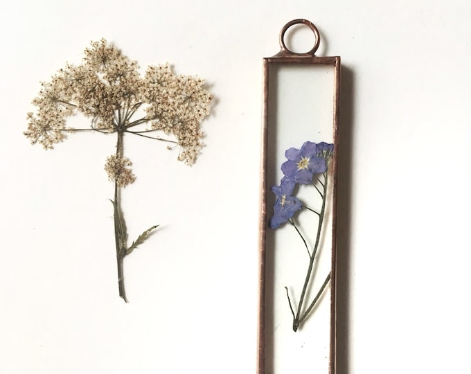 Glass Pressed Flower Frame Thin Rectangle Forget-me-not - Etsy