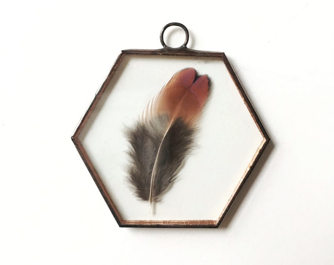 Hand Made Glass Pressed Feather Frame Hexagon Phesant - Etsy