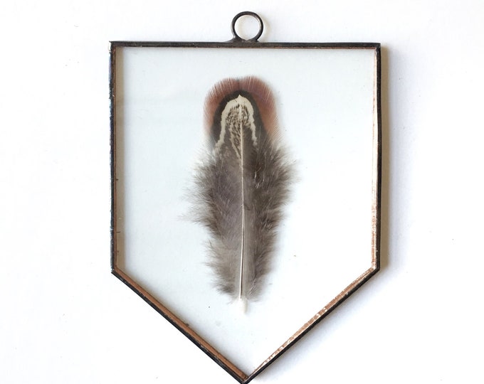 Hand Made Glass Pressed Feather Frame Flag Pheasant - Etsy