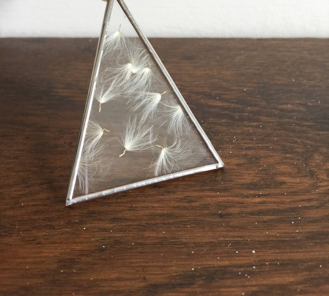 Glass Pressed Flower Frame - Triangle - Dandelion Seeds - Real Flowers ...