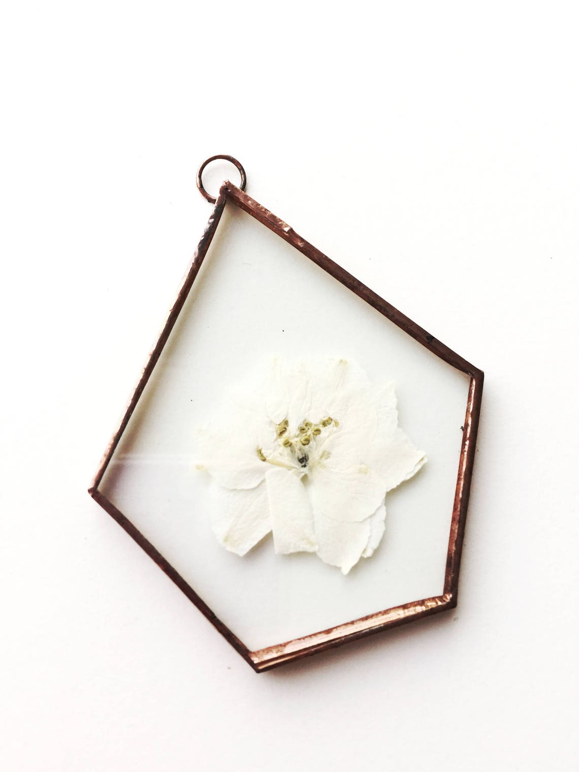 Handmade Glass Pressed Flower Frame Geometric Larkspur - Etsy