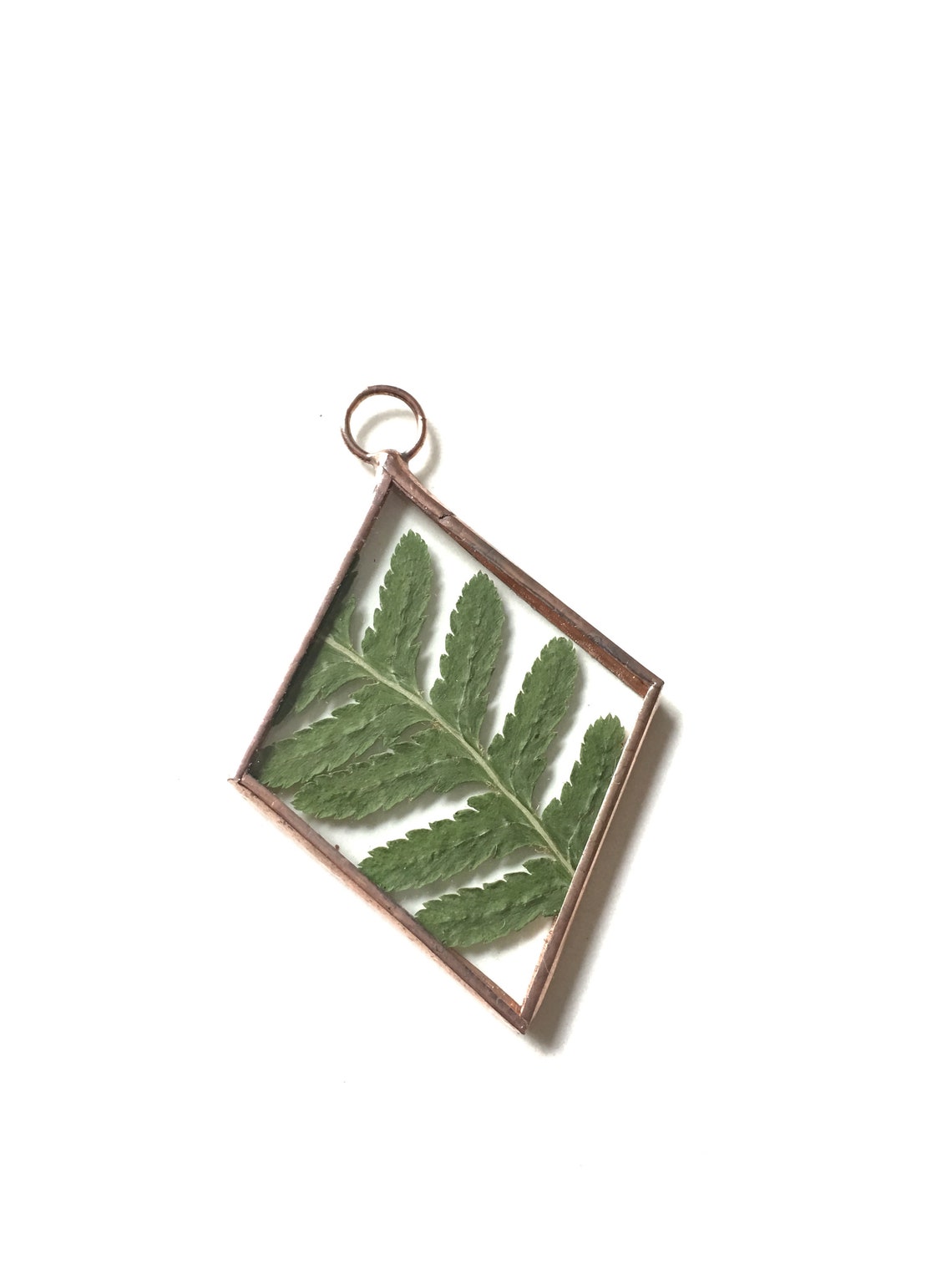 Glass Pressed Fern Frame Mini Diamond Fern Wall Hanging - Etsy