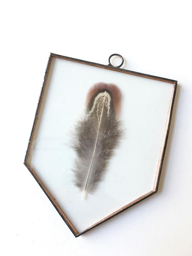Hand Made Glass Pressed Feather Frame Flag Pheasant - Etsy