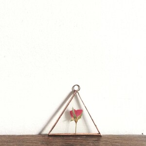 Glass Pressed Flower Frame - Triangle - Red Rose Bud - Wall Hanging - Etsy