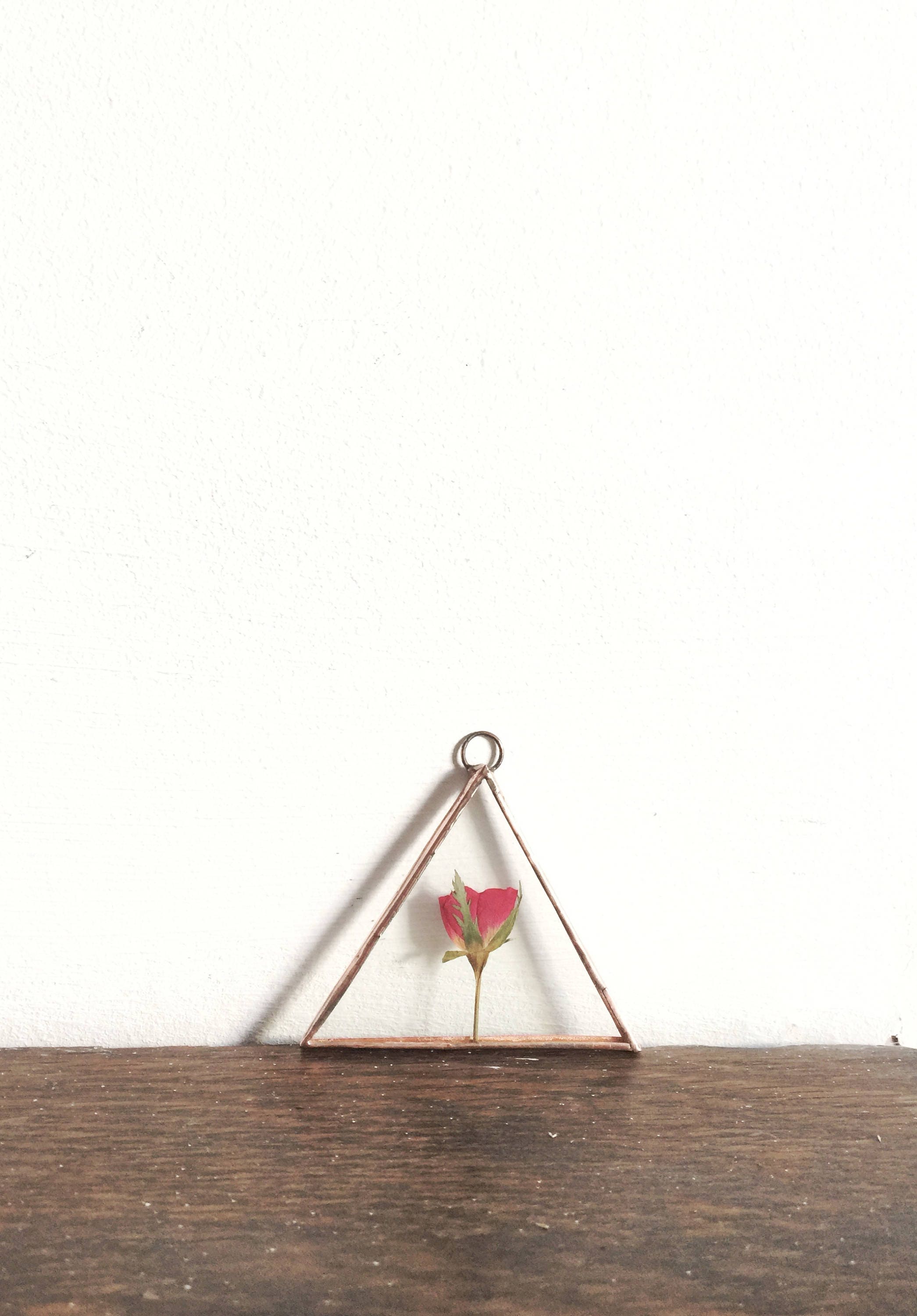 Glass pressed flower frame Triangle Red rose bud Wall | Etsy