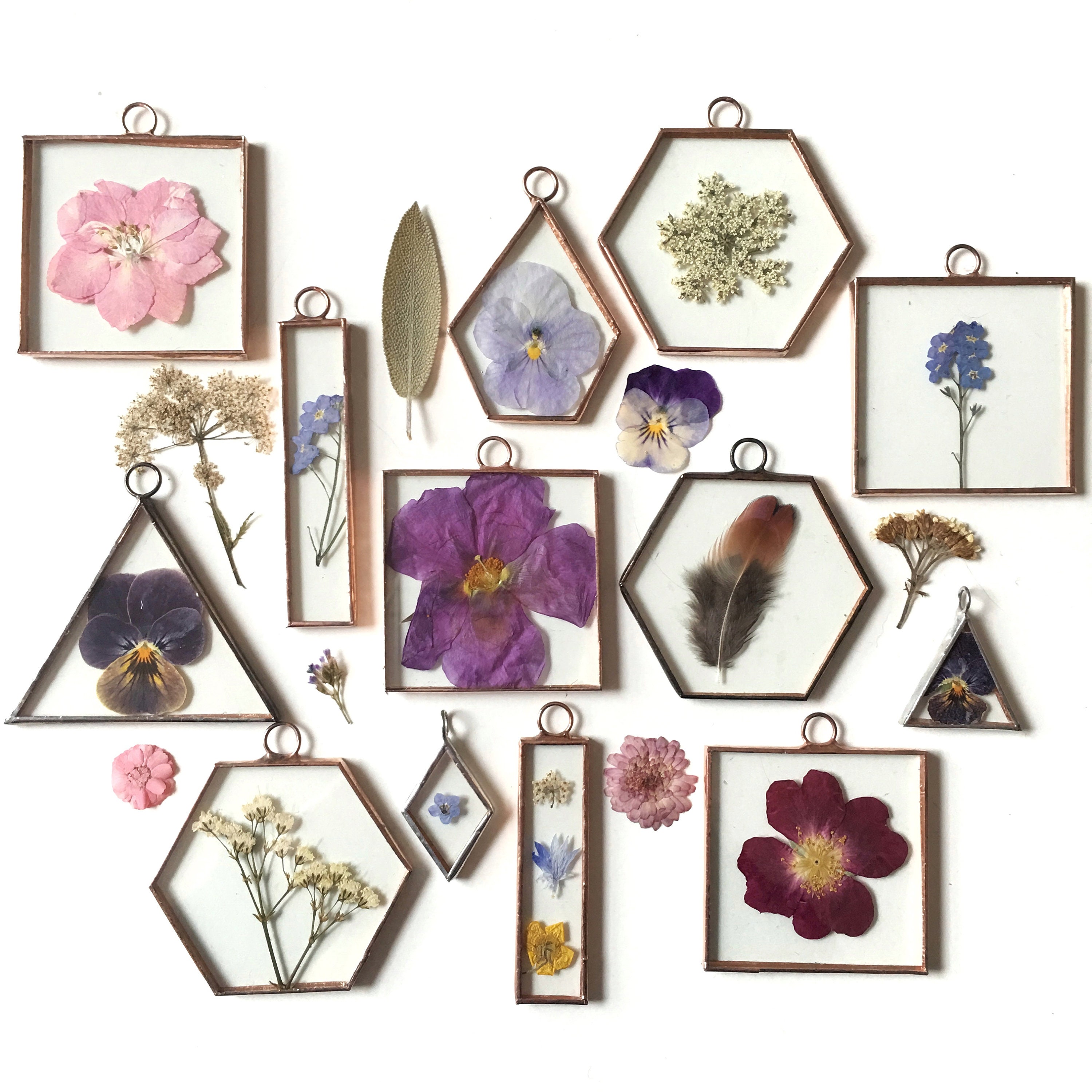 Glass Pressed Flower Frame Thin Rectangle Forget-me-not | Etsy