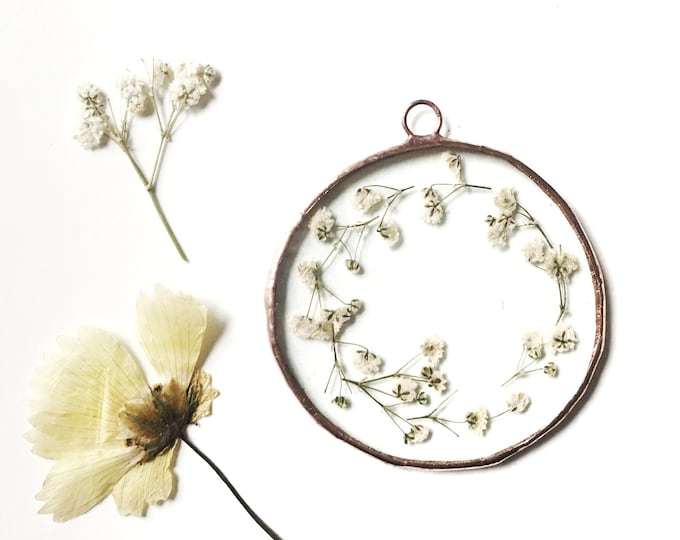 Glass Pressed Round Circle Flower Frame Gypsophila Babys - Etsy