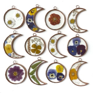 Handmade Glass Frame With Pressed Daisy Flowers - Moon - Etsy