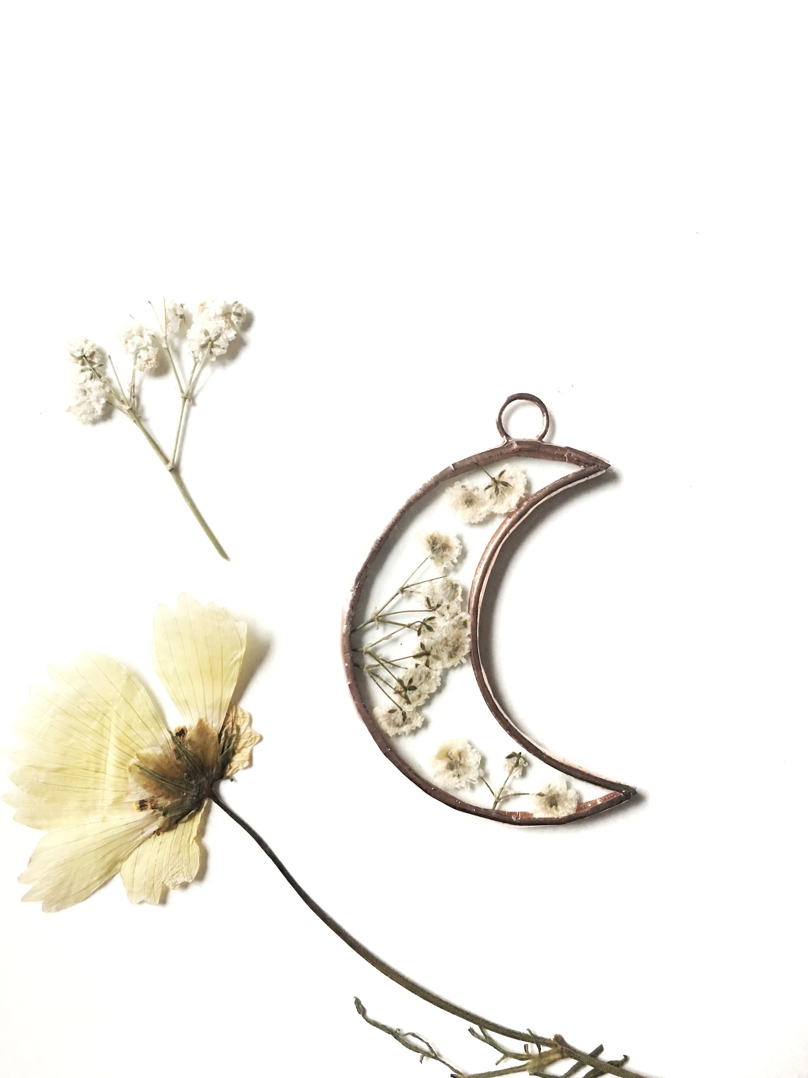 Glass pressed flower frame Crescent moon Gypsophila Wall | Etsy