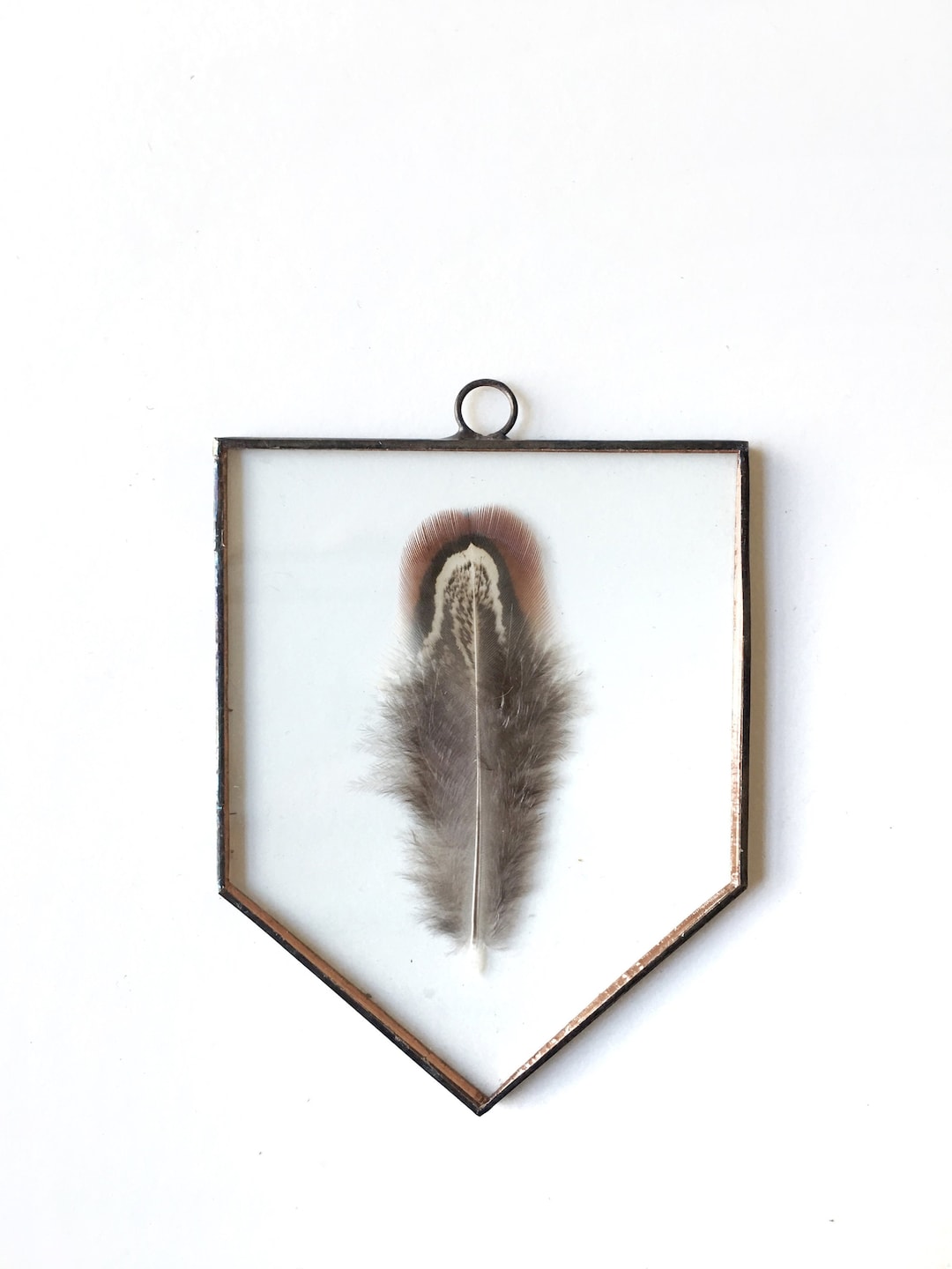 Hand Made Glass Pressed Feather Frame - Flag - Pheasant Feather - Wall ...