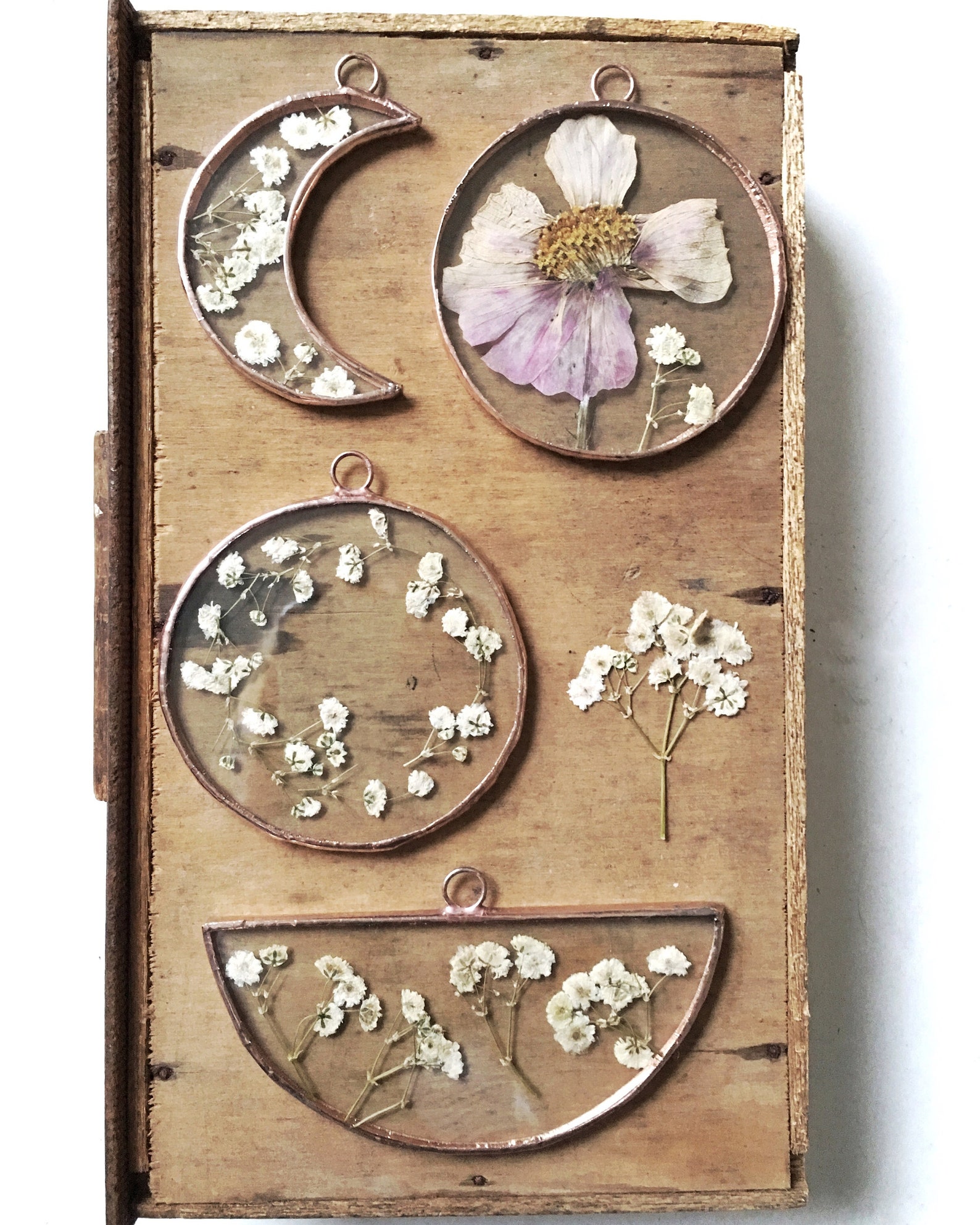 Glass pressed flower frame Crescent moon Gypsophila Wall | Etsy