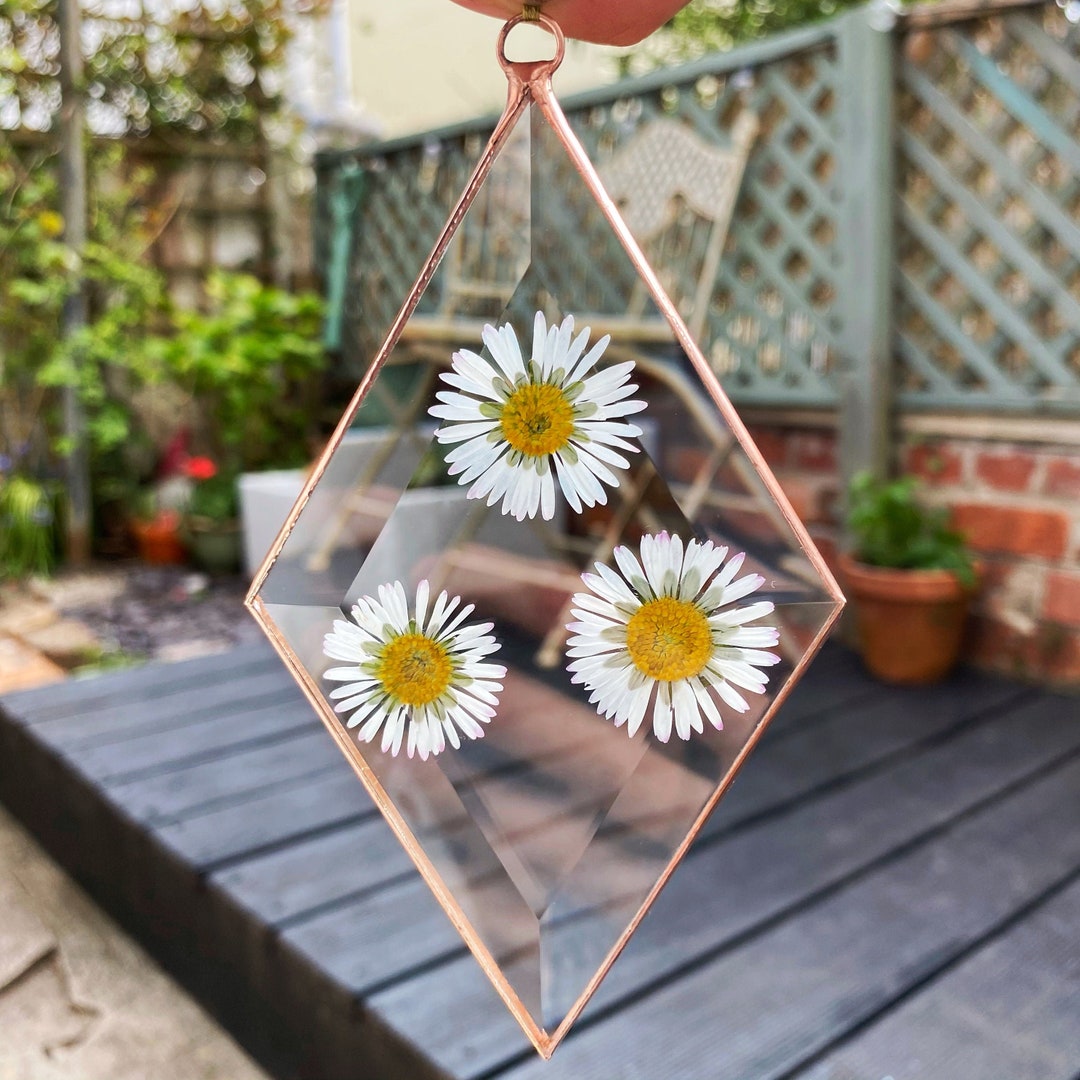Handmade Glass Bevelled Edge Frame With Pressed Daisy Flowers - Diamond ...