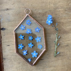 Handmade Glass Frame With Pressed Forget Me Not Flowers - Geometric ...