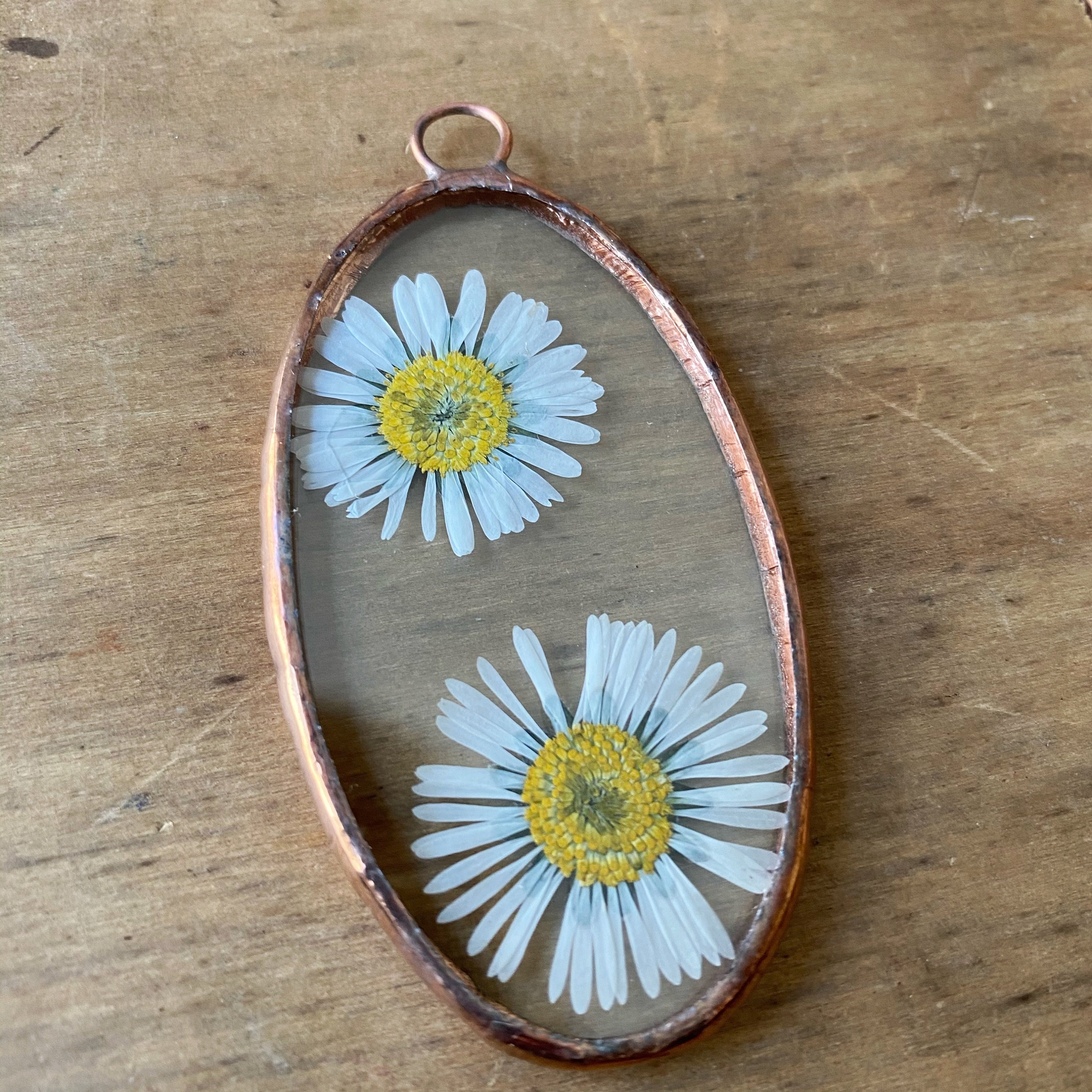 Handmade Glass Frame With Pressed Daisy Flowers Oval | Etsy