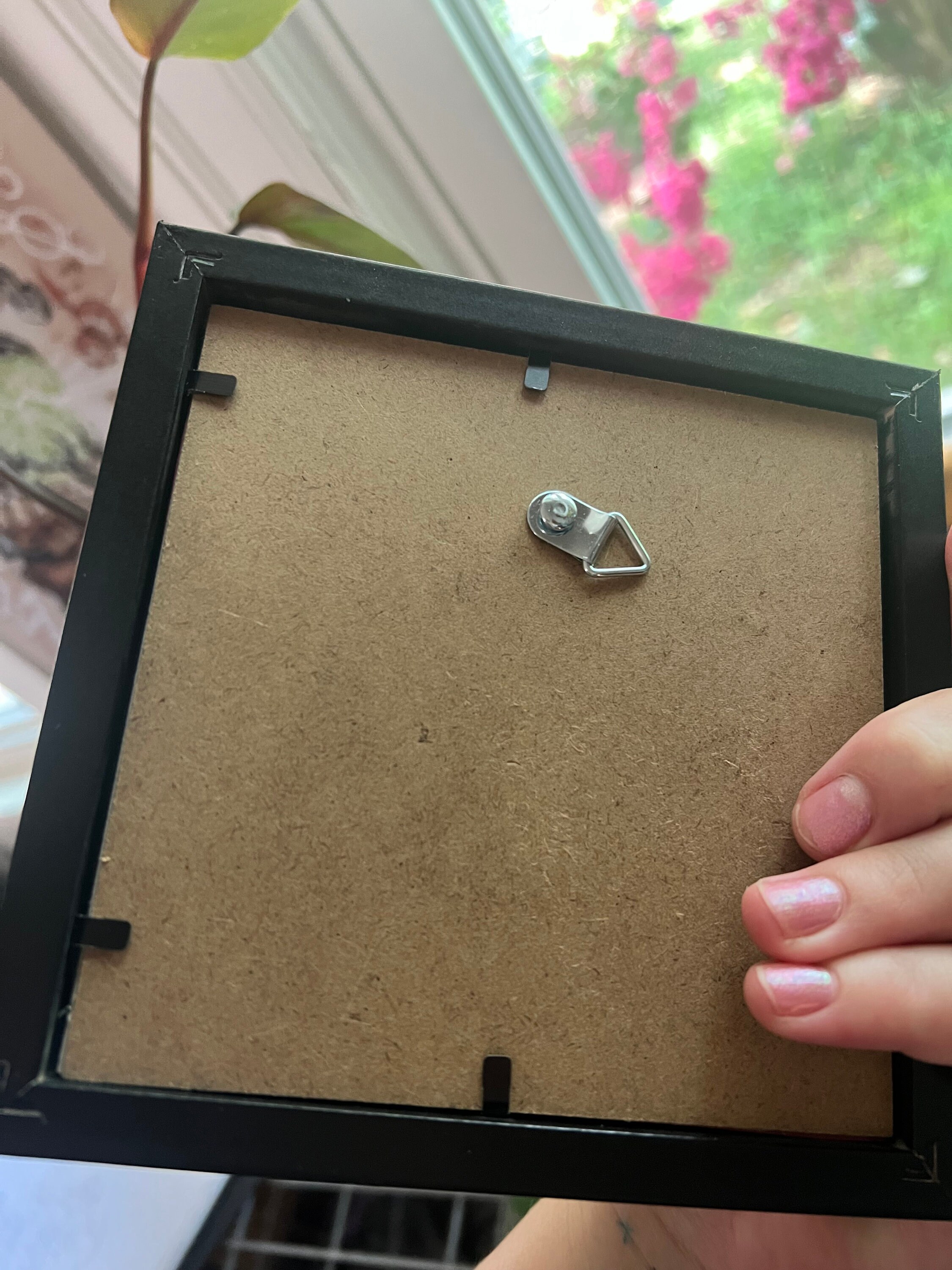 Leopard Moth Shadow Box - Etsy