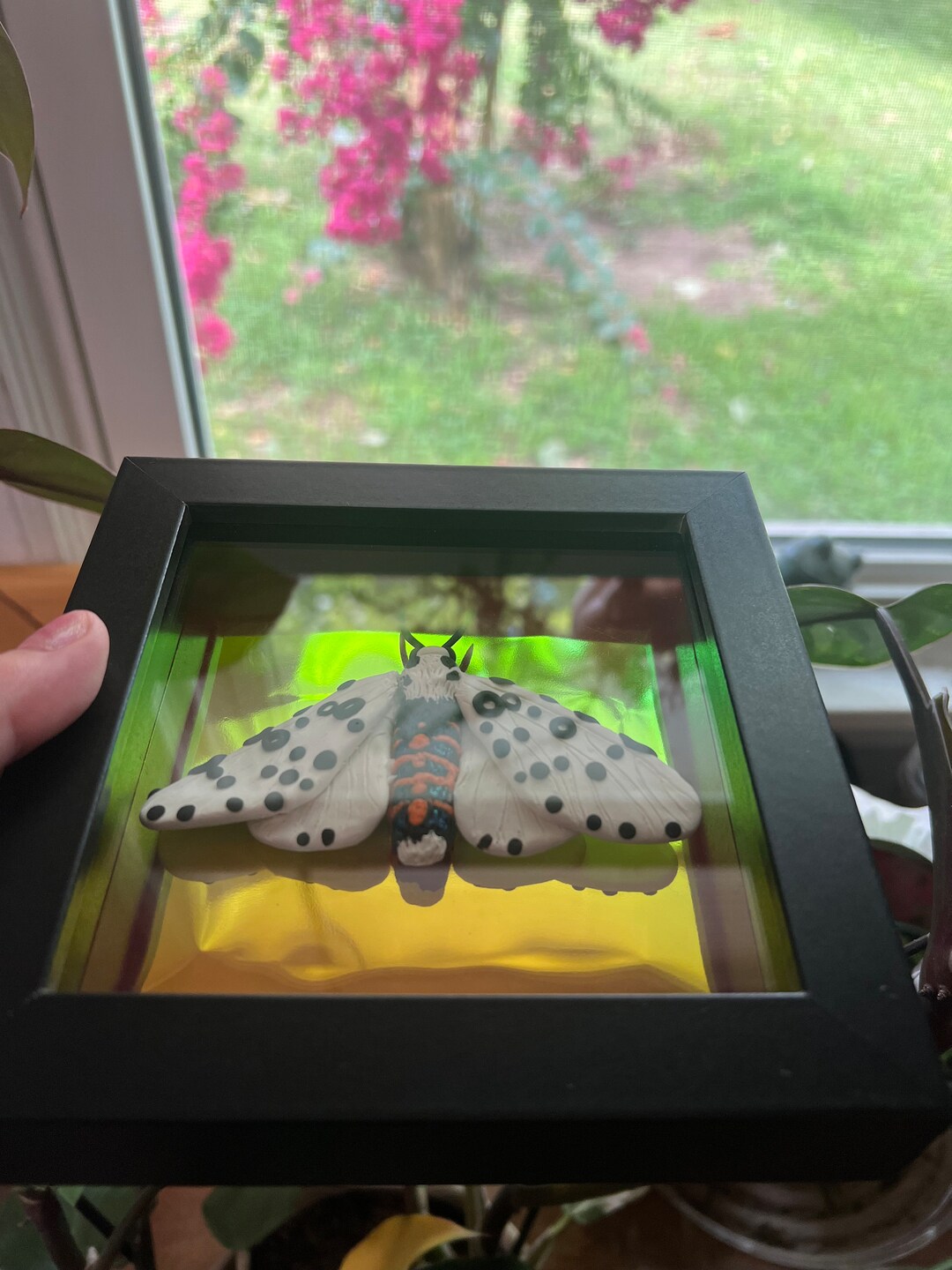 Leopard Moth Shadow Box - Etsy