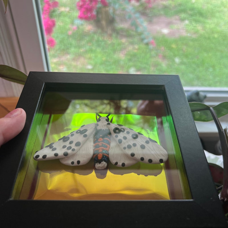 Leopard Moth - Etsy