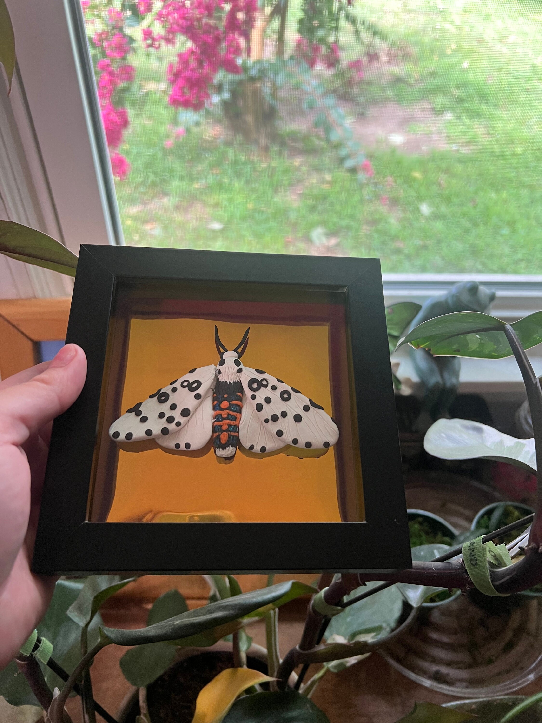 Leopard Moth Shadow Box - Etsy