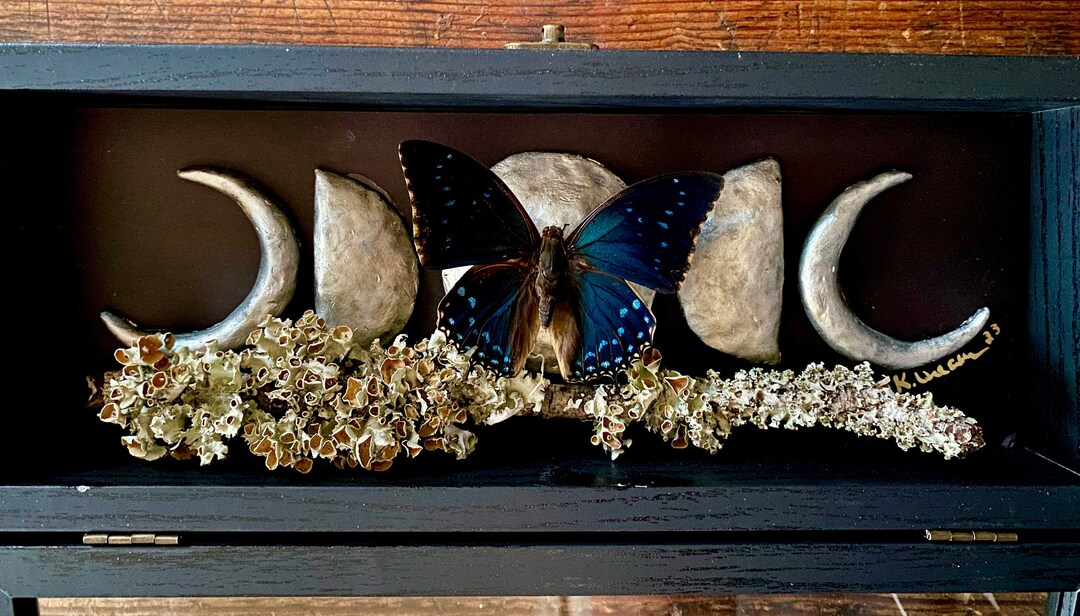 Starry Night Lunar Moth and Moon Phases Assemblage Mixed Media - Etsy