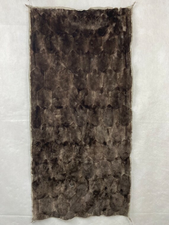 Real Mole Fur Plate. Real Skin Fur Pelt. Ideal Fur Sample for - Etsy