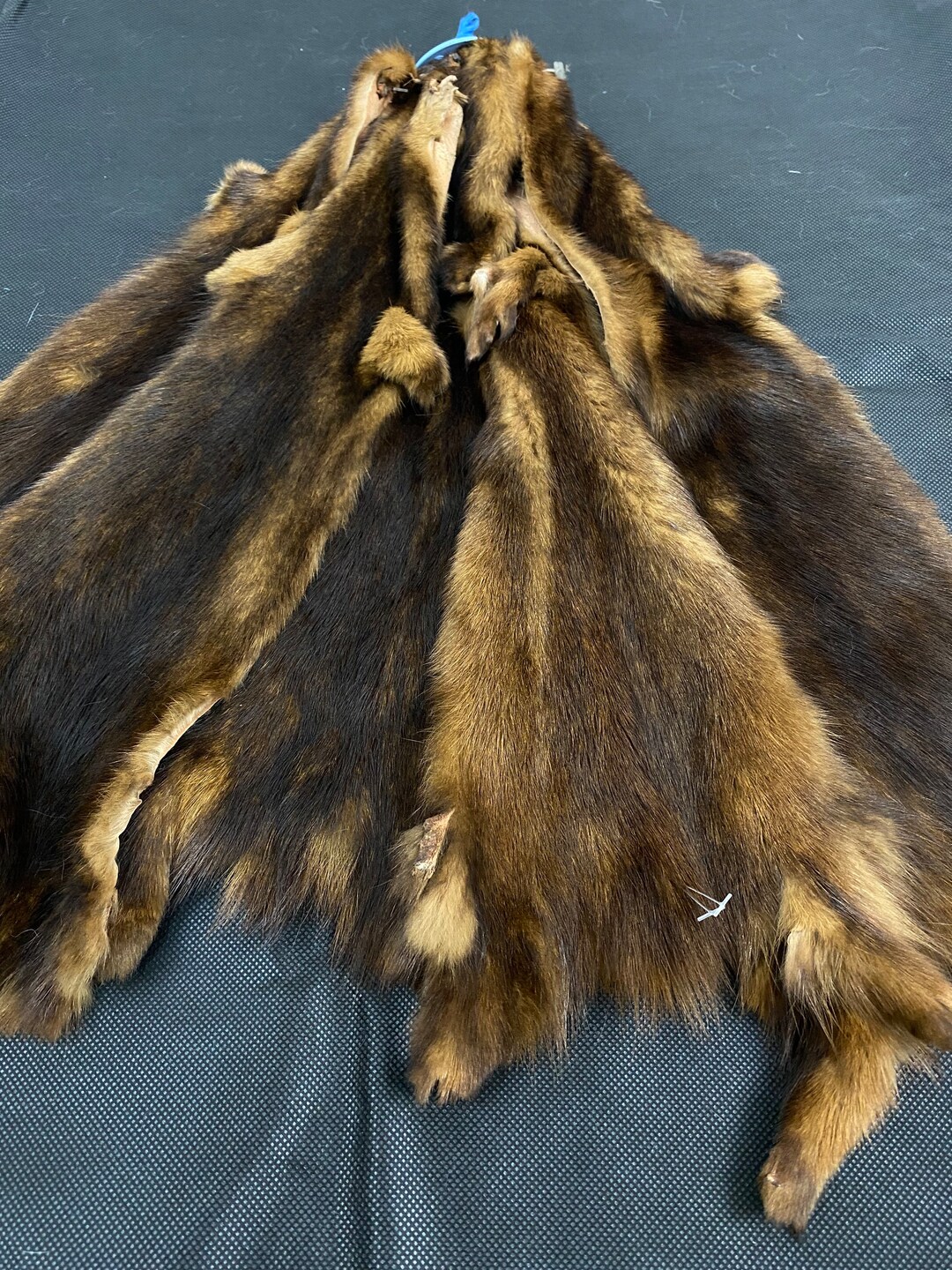Real Weasel Fur.real Pelt. Furcraft. Real Fur Craft Material Ideal for Handmade Accessories. Fur ...