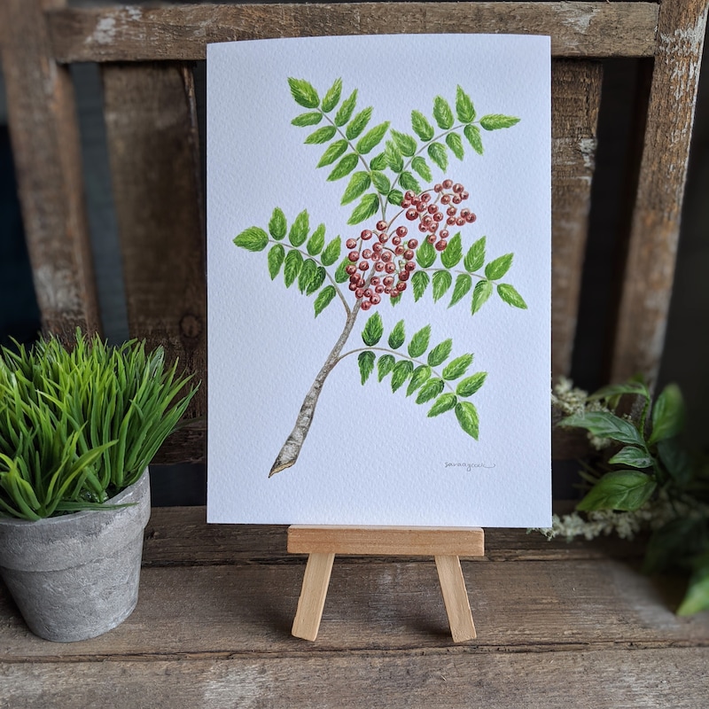 Rowan Tree Art - Etsy