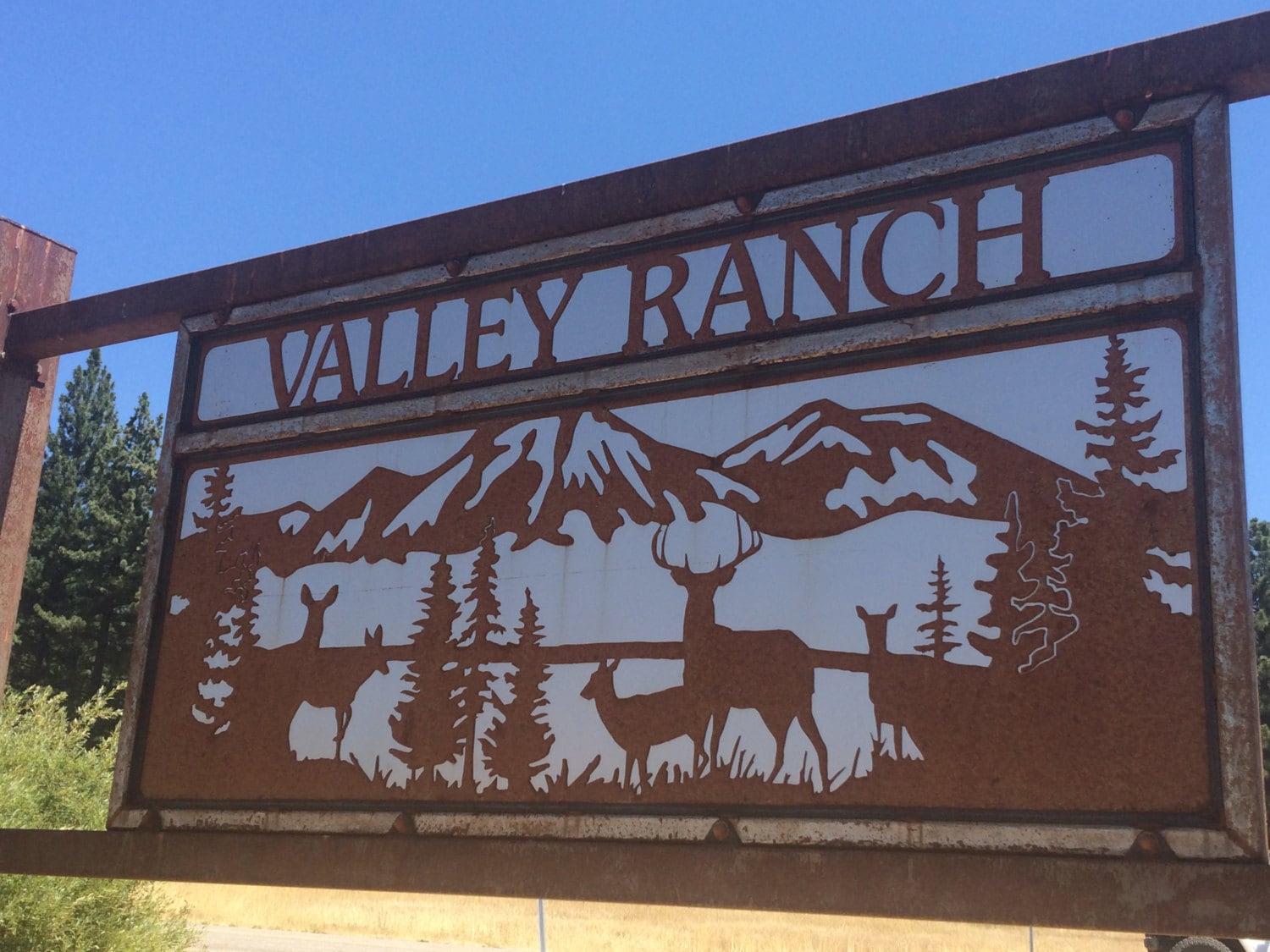 Large Custom Metal Signs Plasma cut artwork | Etsy