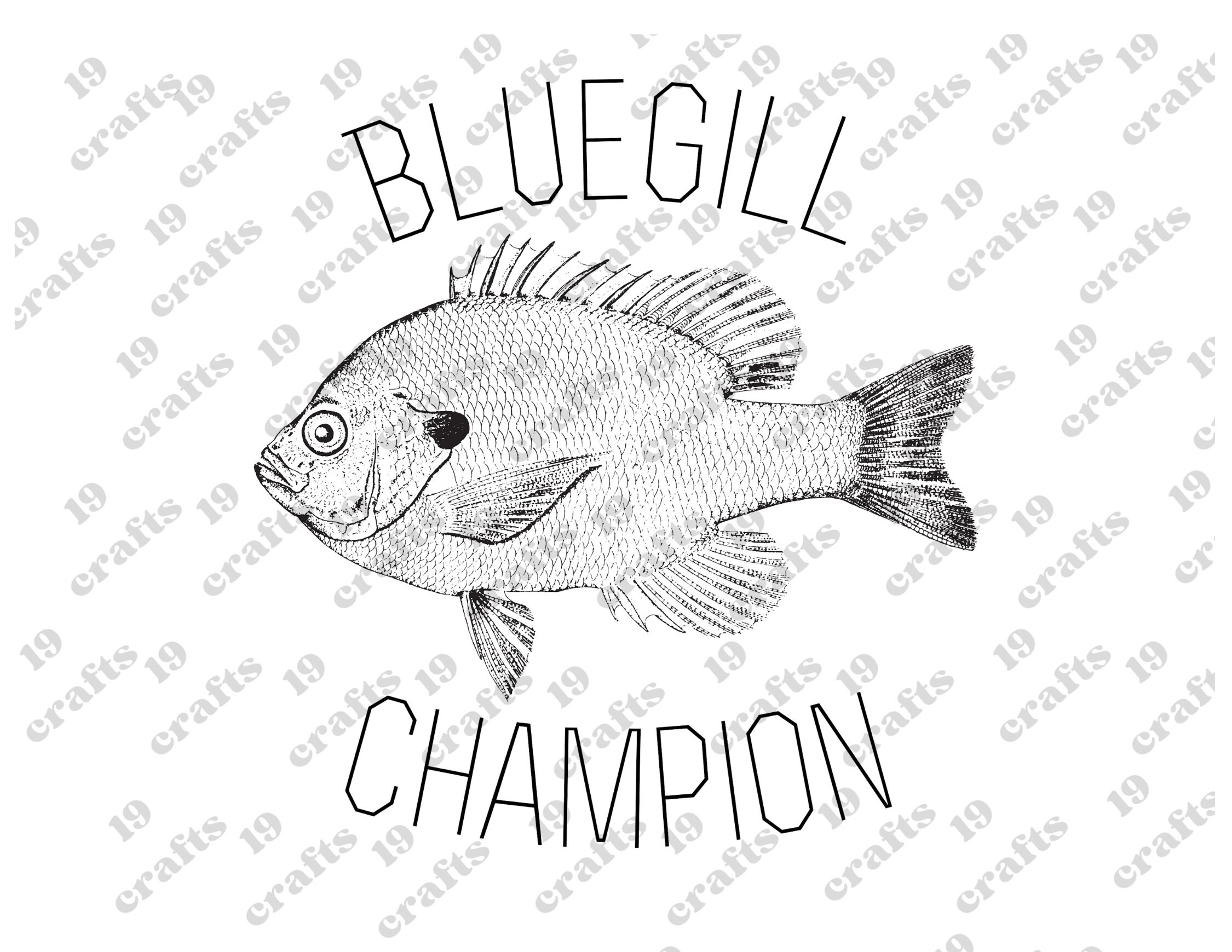 Bluegill Champion PNG | Funny Fishing Shirt Designs for Sublimation - Etsy