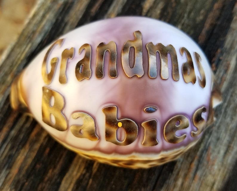 Personalized Two Line Engraved Seashell Guaranteed to Put Smiles on ...