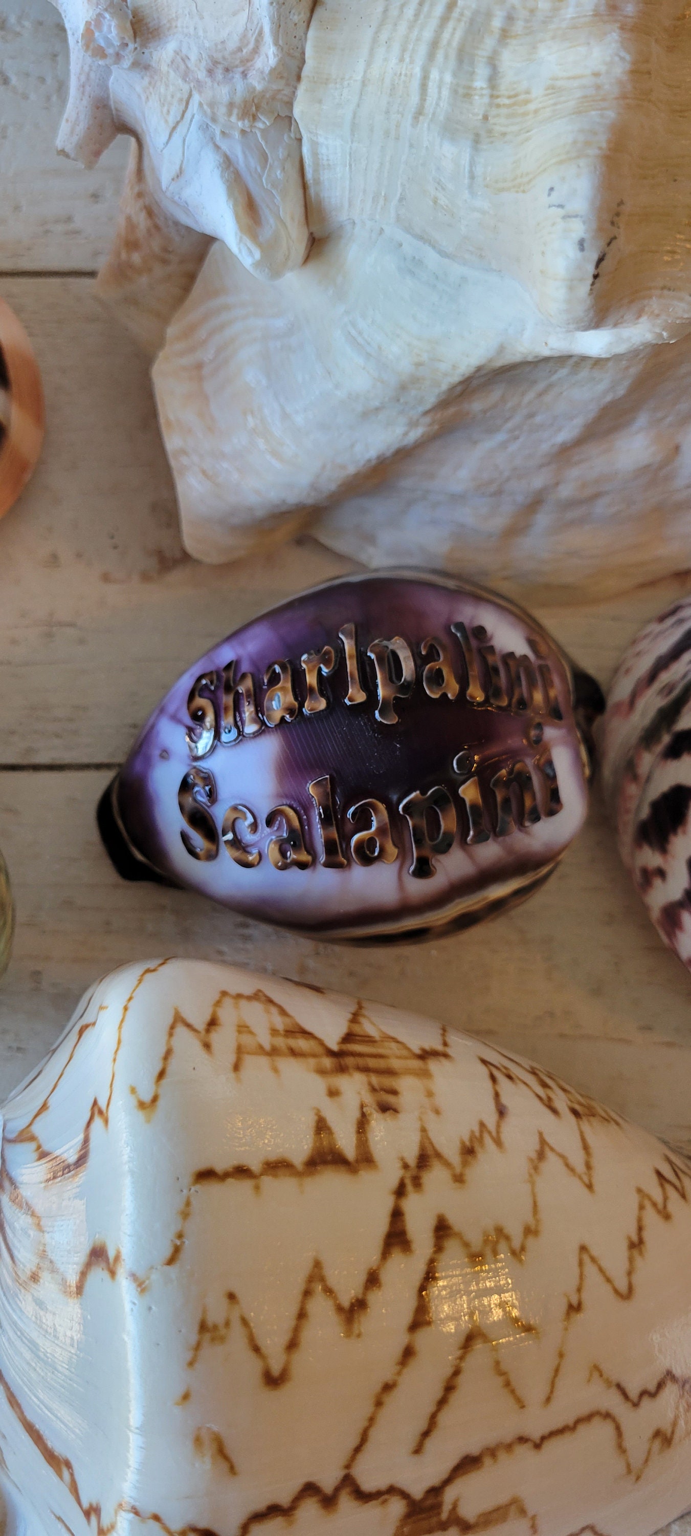 Personalized Two Line Engraved Seashell Guaranteed to Put Smiles on ...