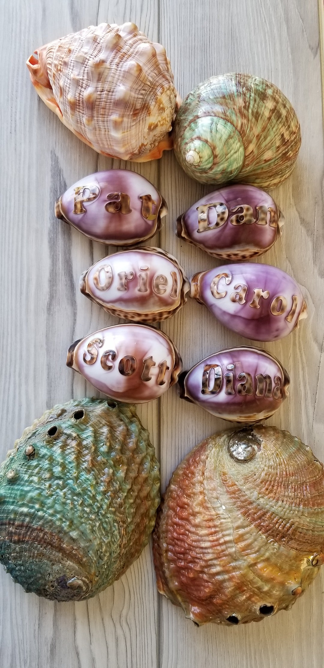 Hawaii Souvenirs Personalized Custom Engraved Names on Seashells - 100% ...