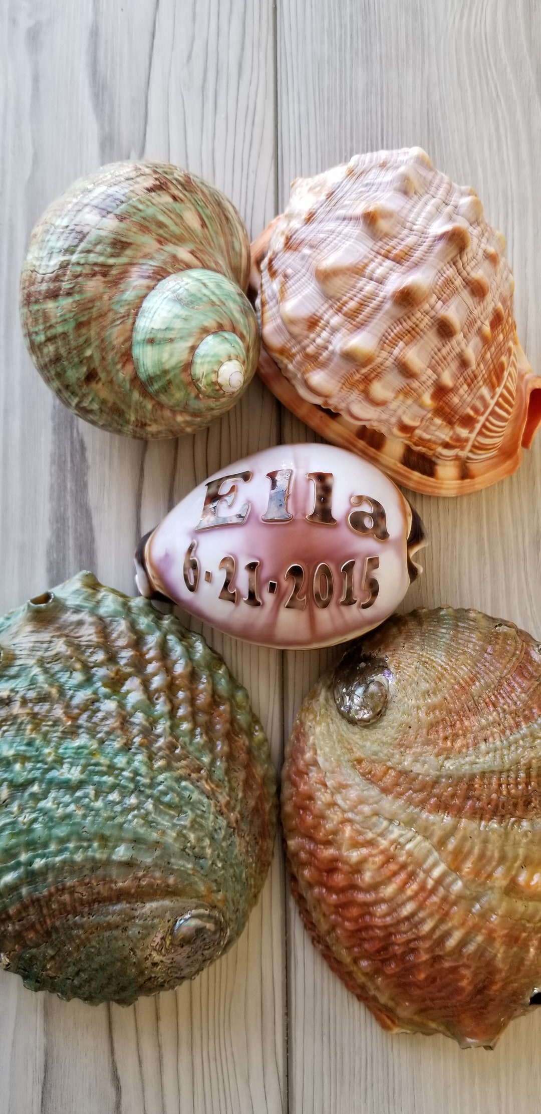 Personalized Two Line Engraved Seashell Guaranteed to Put Smiles on ...