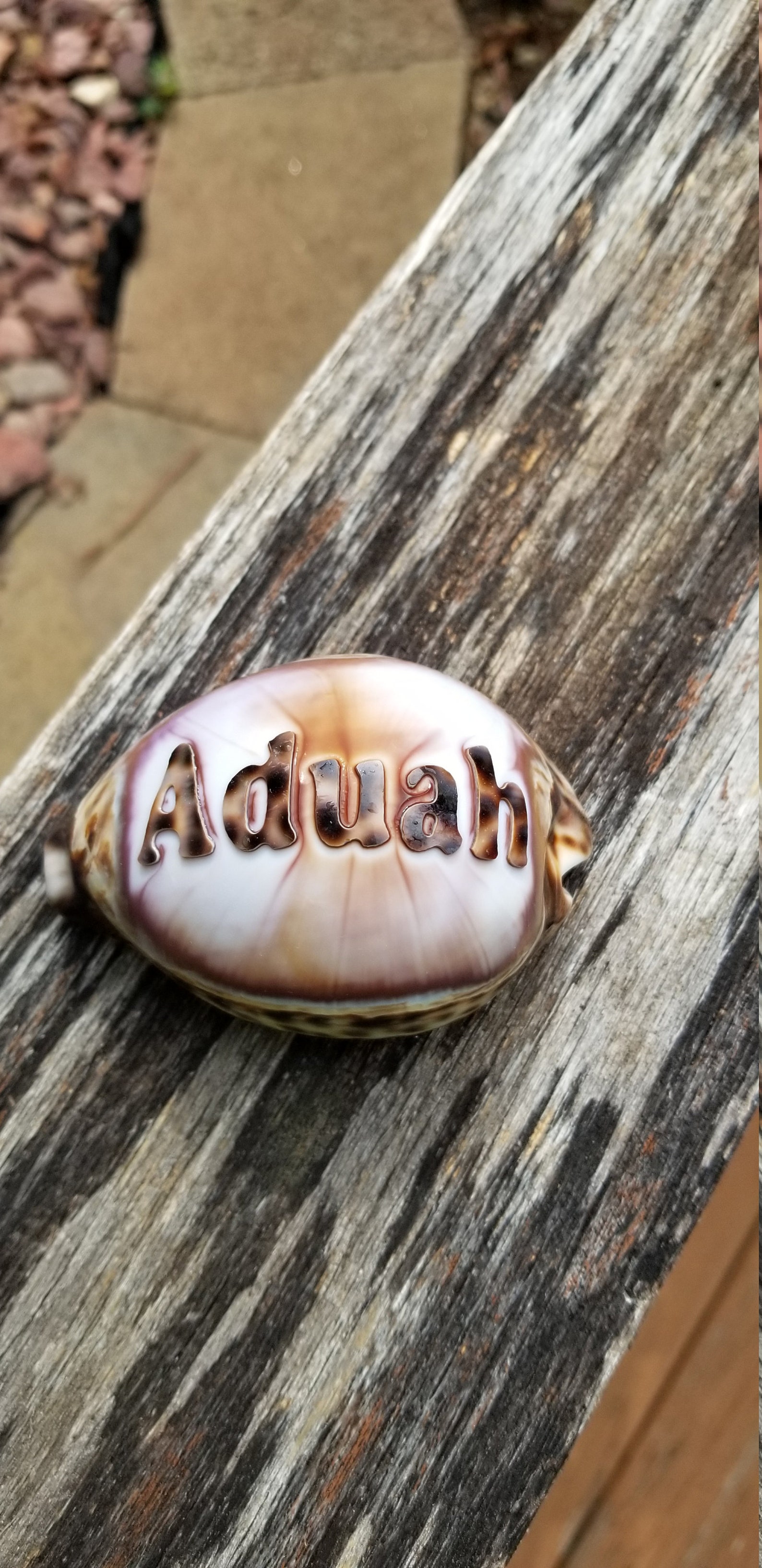 Custom Engraved Names on A Seashell Guaranteed to Put Smiles on Faces ...