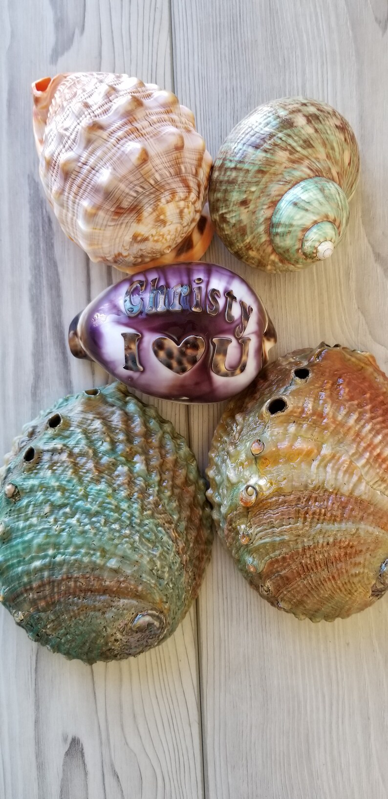 Personalized I Love You Engraved on a Tiger Cowrie Seashell Guaranteed ...