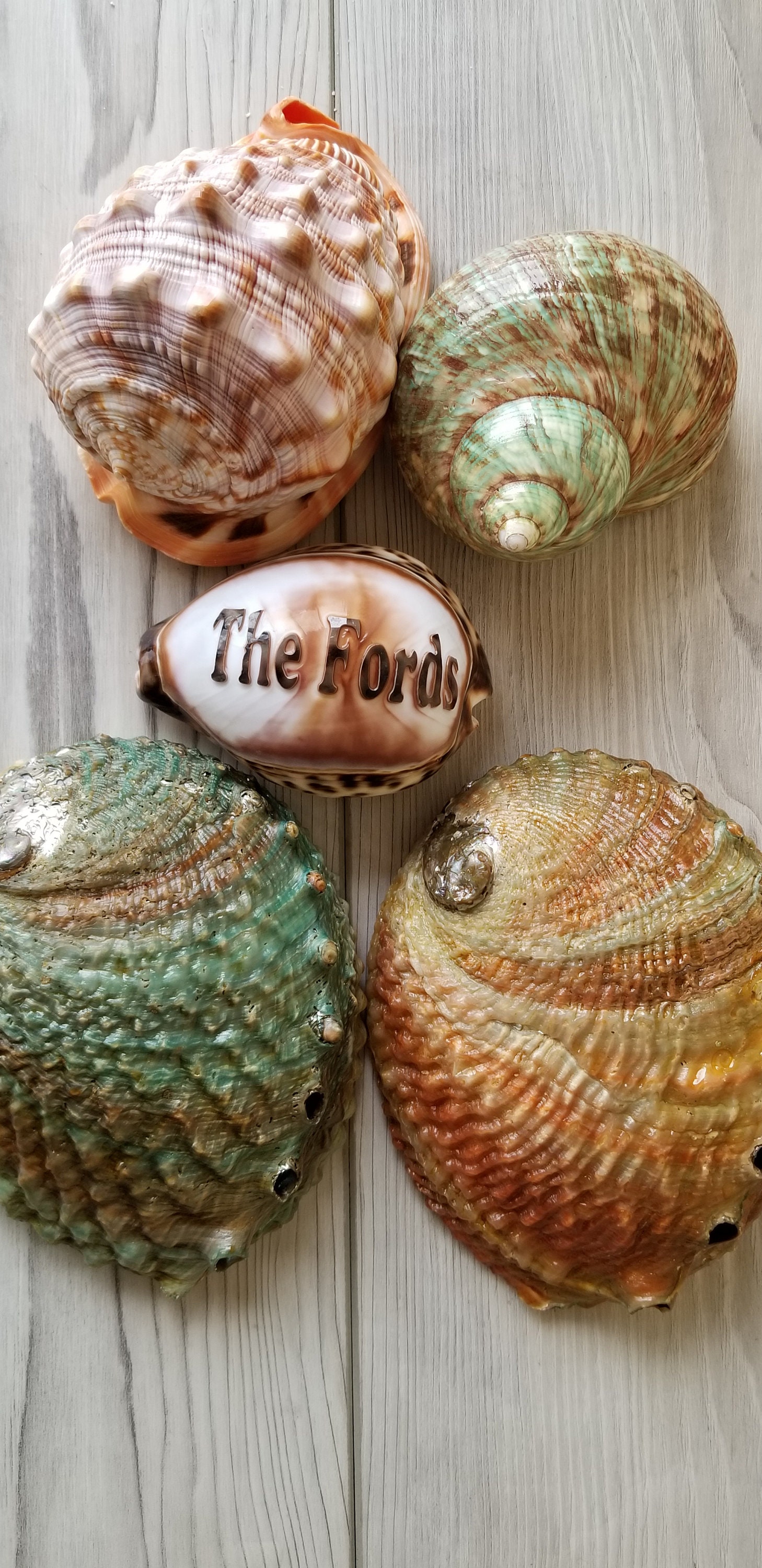 Hawaii Souvenirs Personalized Custom Engraved Names on Seashells 100% ...