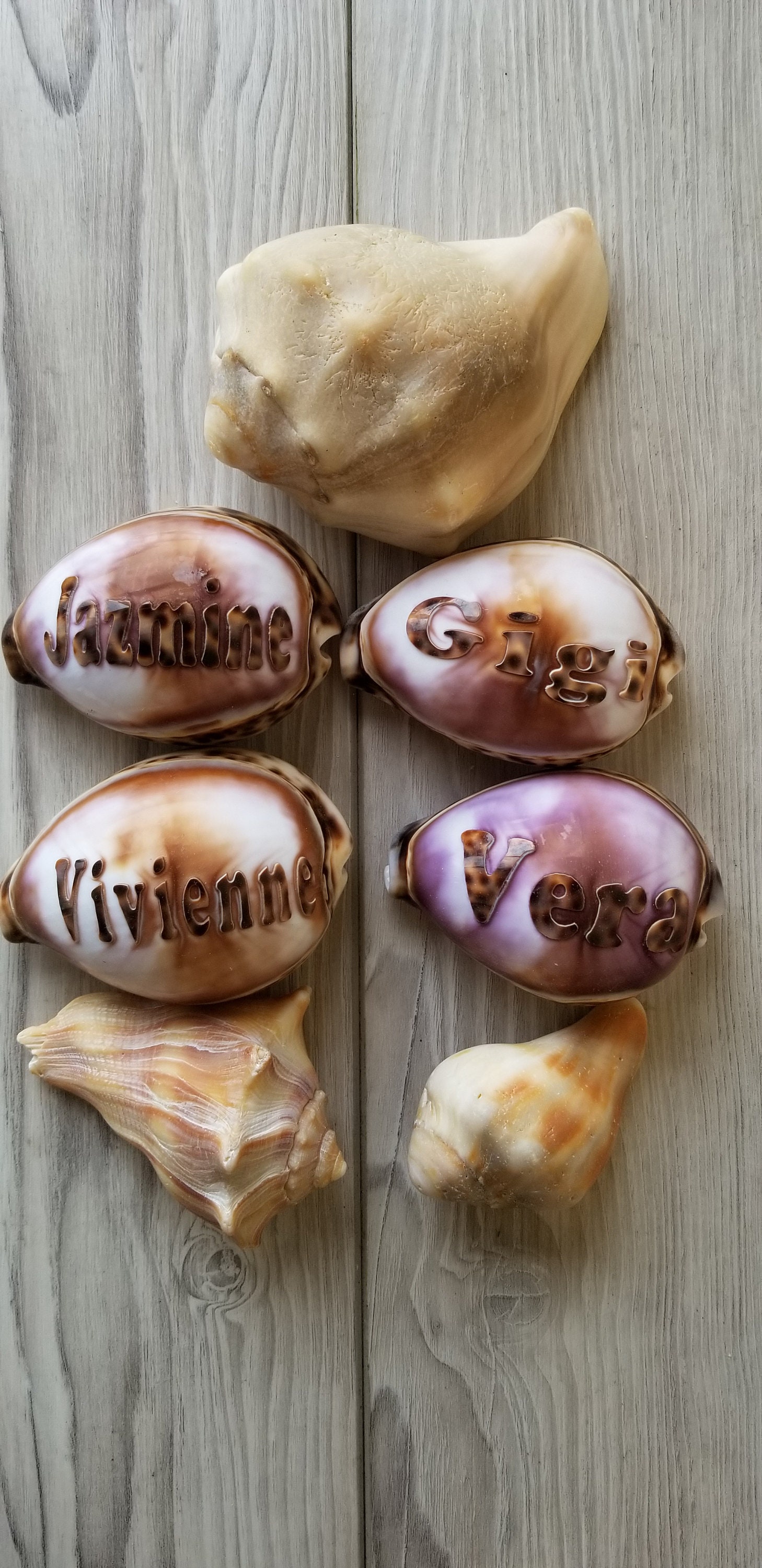 Hawaii Souvenirs Personalized Custom Engraved Names on Seashells 100% ...