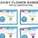Daisy Petal & Leaf Certificates Complete Set Fillable 4-up Girl Scouts ...