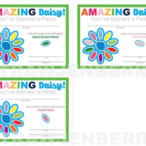 Daisy Petal & Leaf Certificates Complete Set Fillable 4-up Girl Scouts ...