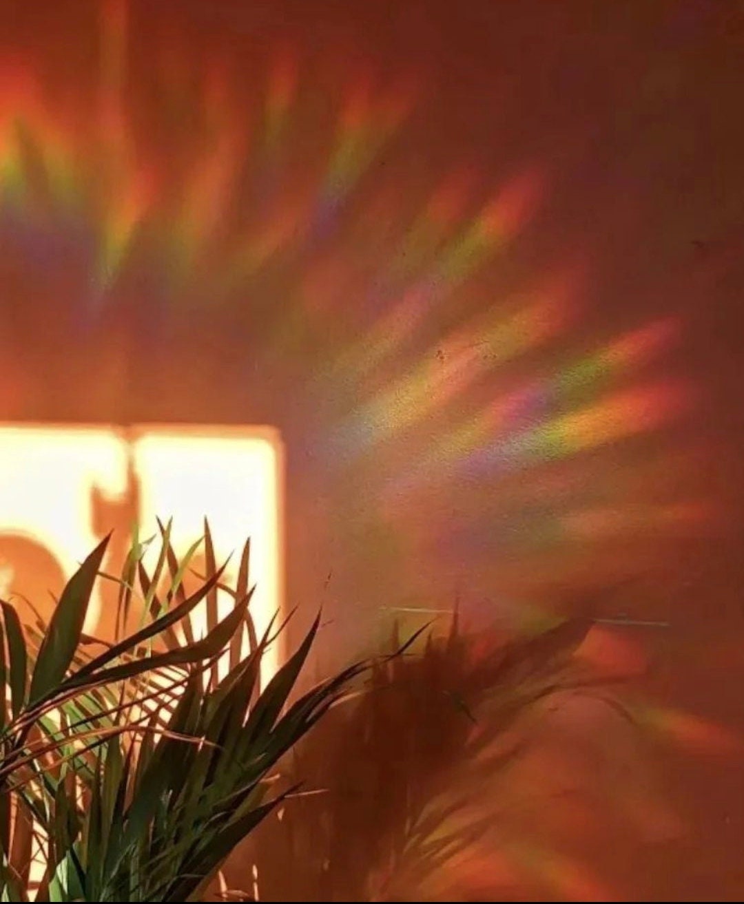 Prismatic Alien Window Cling Decal Casts Rainbows Static - Etsy Canada