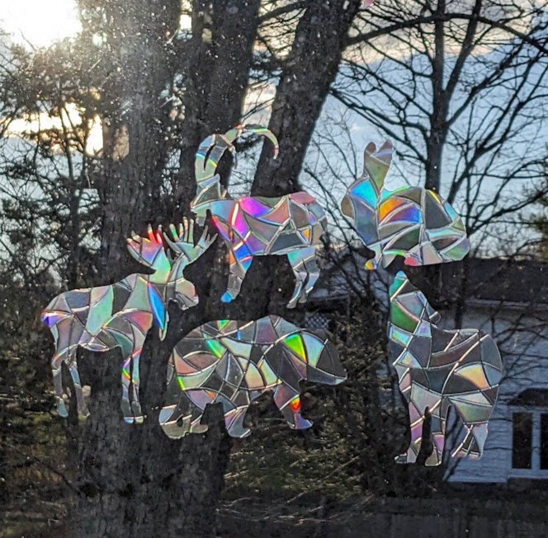 Wild Animal Suncatchers - Window Cling Sun Catchers - Forest Animal ...