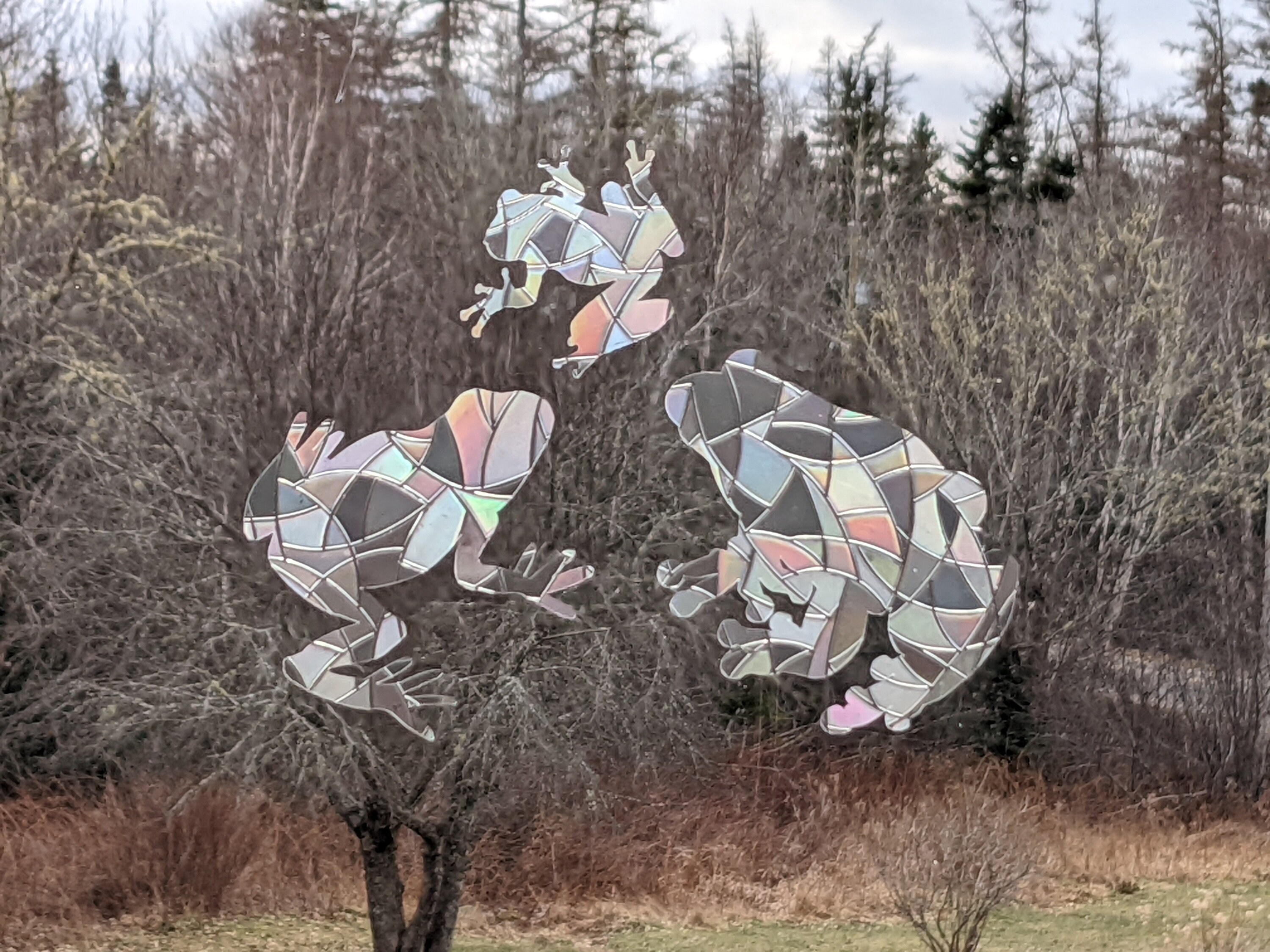 Frog Window Cling Sun Catcher Decals Rainbow Maker Sets - Etsy