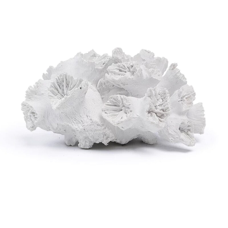 Coral Decor - Etsy