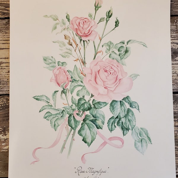 Antique Rose Print - Etsy