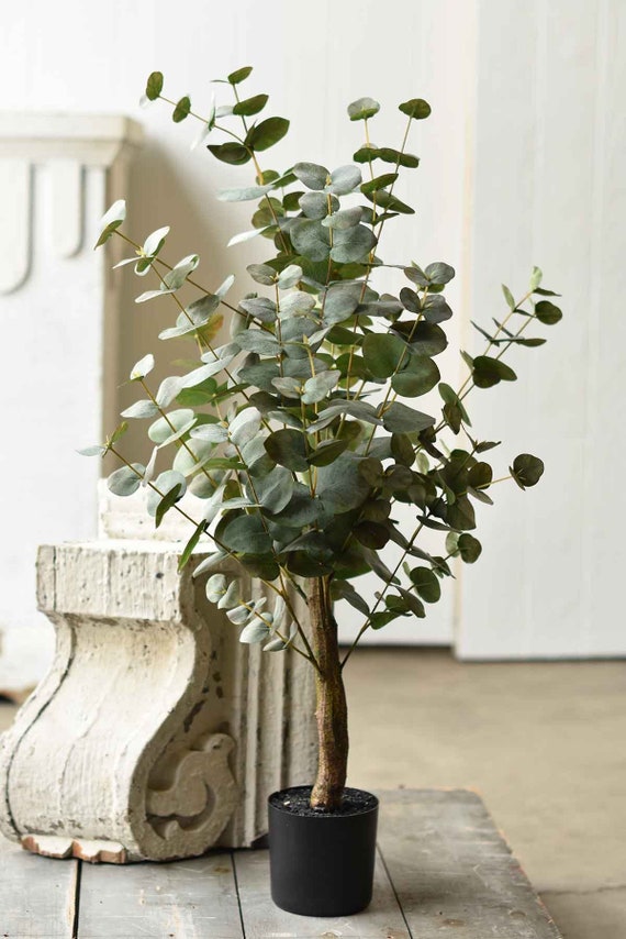 Faux 3 Potted Lakeland Eucalyptus Tree Floral Artificial Plant Farmhouse Style Wedding Tabletop Counter Kitchen Decor