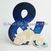 Cinderella Inspired Letter Set/cinderella Party/prince Charming/photo ...