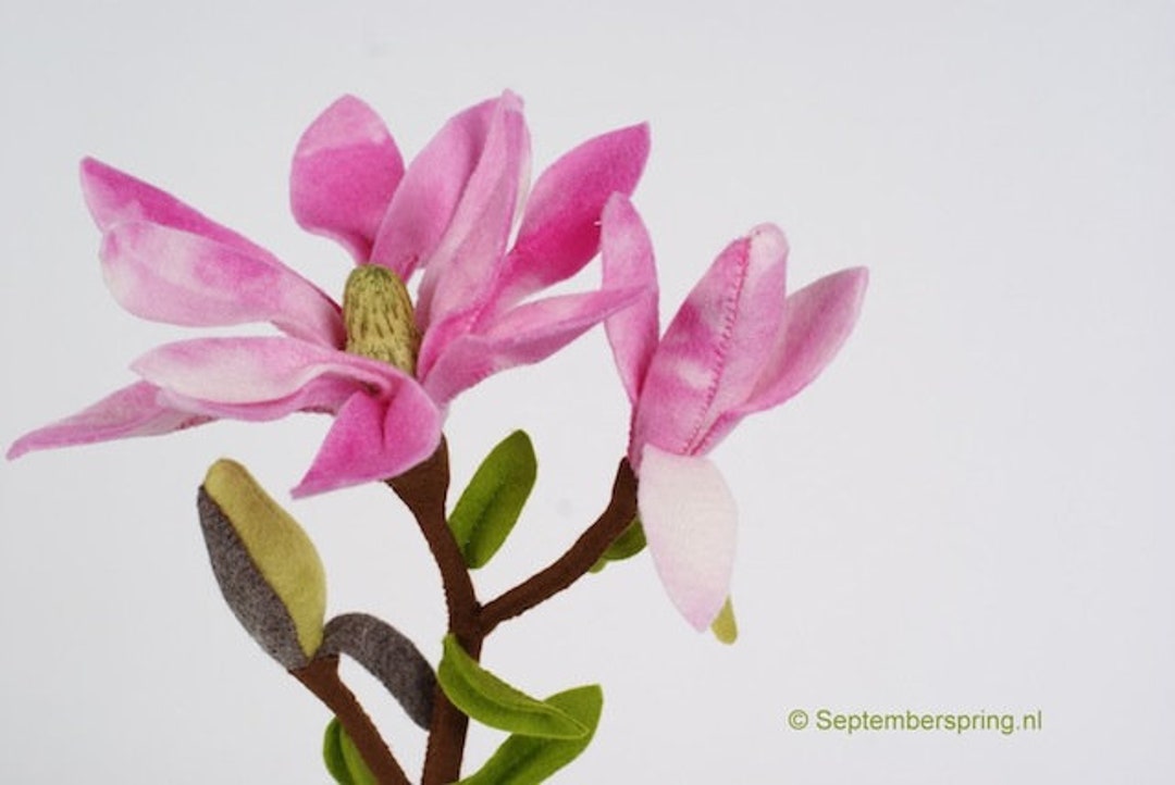 DIY Magnolia, a Craft Kit - Etsy