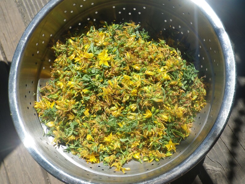 Wild Saint John's Wort Extract Tincture Organic Alcohol | Etsy